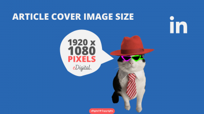 THE BEST LINKEDIN ARTICLE COVER IMAGE SIZE IN 2026 - eDigital Agency