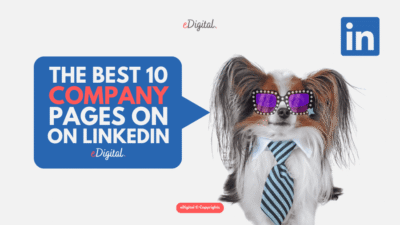 THE BEST 10 LINKEDIN COMPANY PAGES IN 2026 - eDigital Agency
