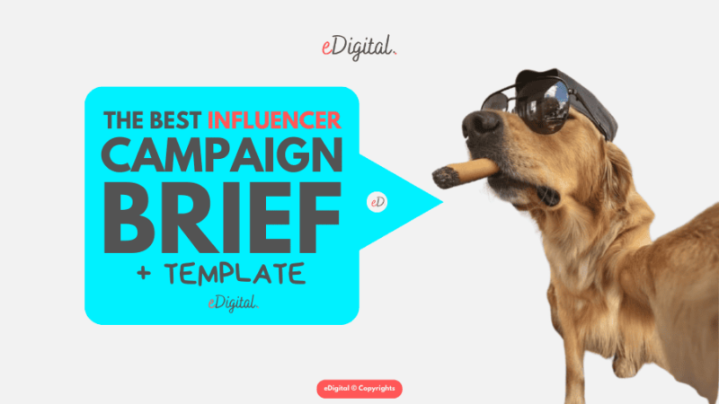 THE BEST INFLUENCER MARKETING BRIEF TEMPLATE FOR 2026 - eDigital Agency