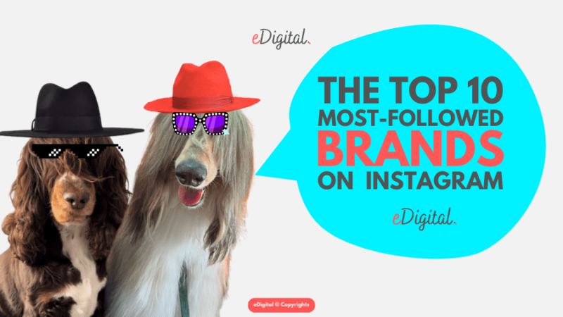 THE TOP 10 MOST POPULAR BRANDS ON INSTAGRAM IN 2026 - eDigital Agency