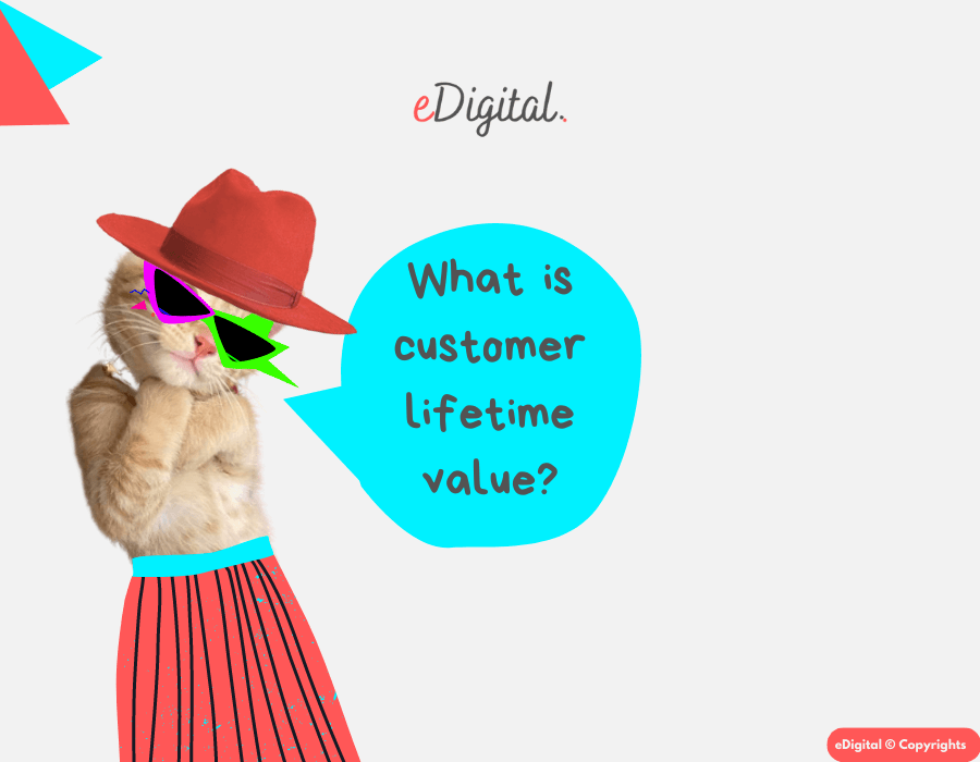 WHAT IS CUSTOMER LIFETIME VALUE LTV AND HOW TO CALCULATE IT